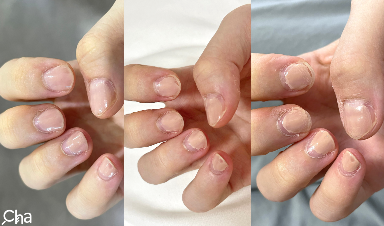 Solone琉光訂製養護油養甲7天！護甲＆美甲效果一次看 – 找Cha研究室